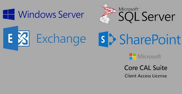 Buy Microsoft Home, Business & Office software products|PC Keys